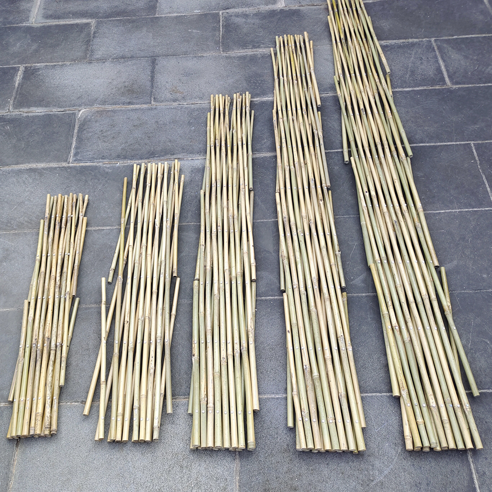 Bamboo Expanding Trellis